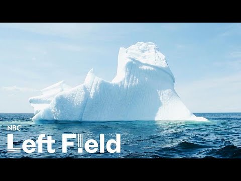 'Iceberg tourism': Newfoundland's new-found livelihood