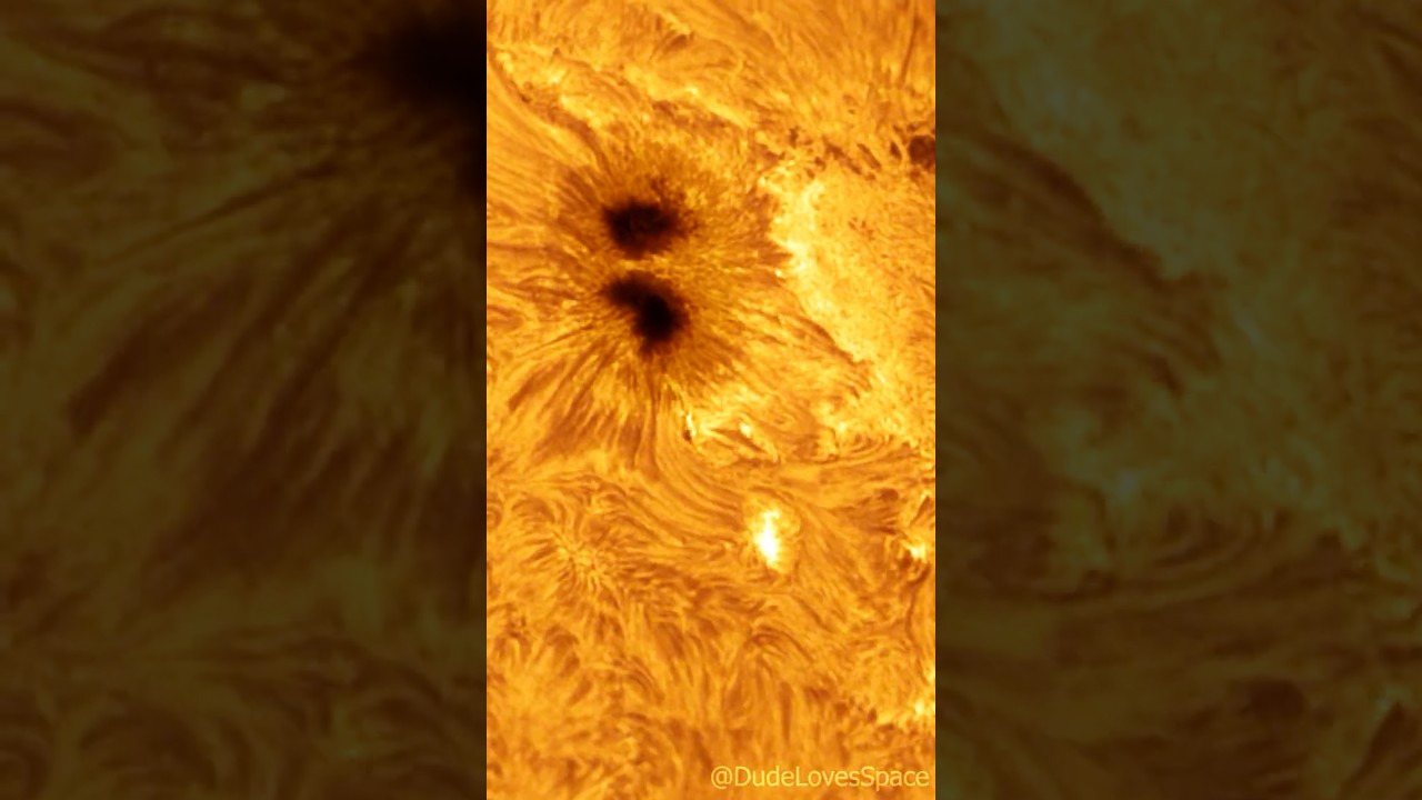 Very Big Sunspot 4079 Close Up! // Captured from My Backyard #astronomy #solarsystem #space
