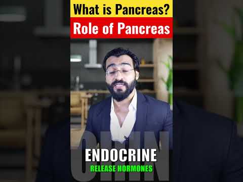 Pancreas & its Functions