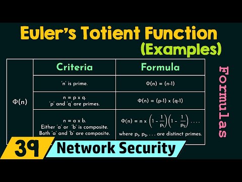 Learn Euler s Totient Function Solved Examples - Mind Luster