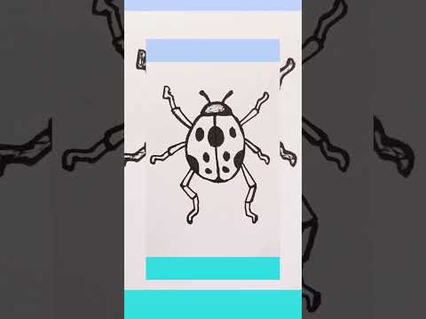 Lady Beetle Drawing 🐞 #shorts