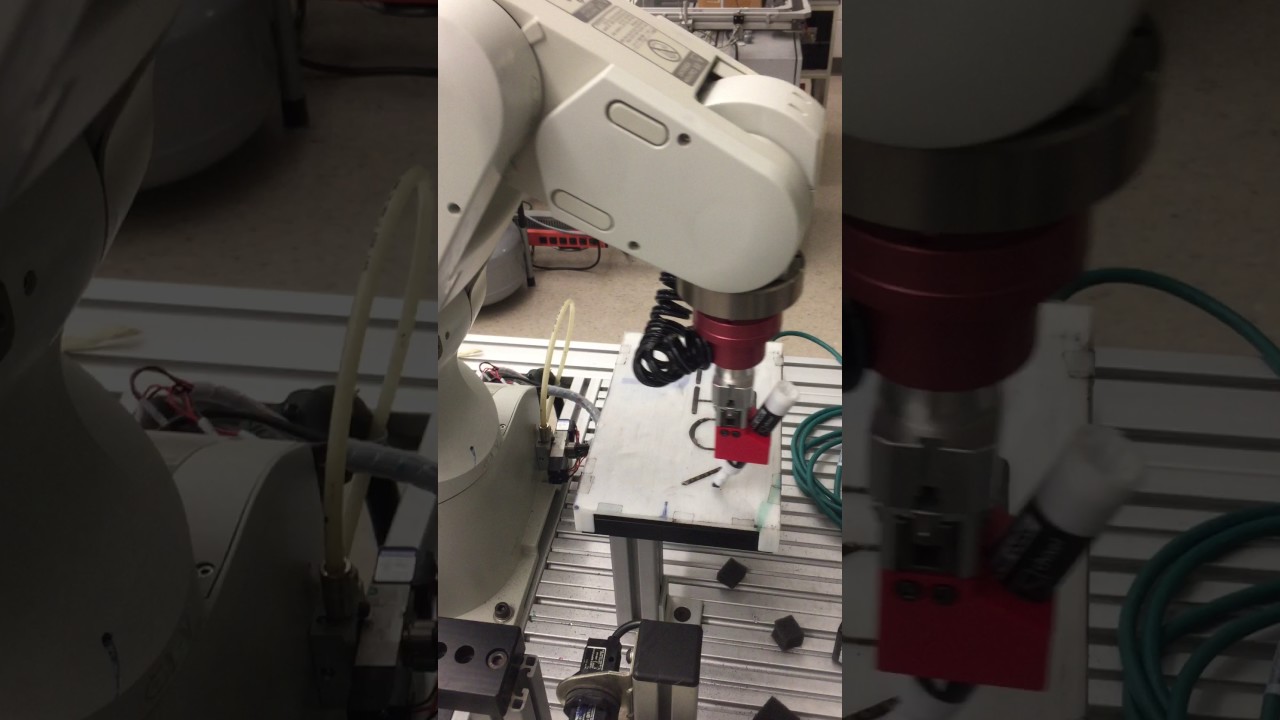 IMG LAB 2