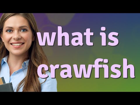 Crawfish | meaning of Crawfish