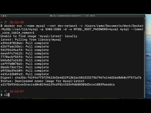 How to Run MySQL Container on Docker (MacBook Pro M1)