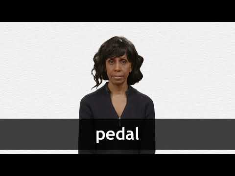 PEDAL definition and meaning | Collins English Dictionary
