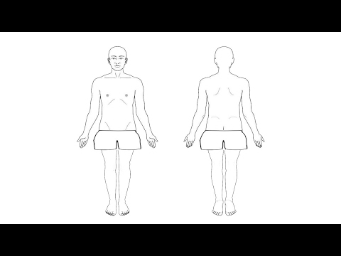 American Sign Language ASL Video Dictionary - general anatomy