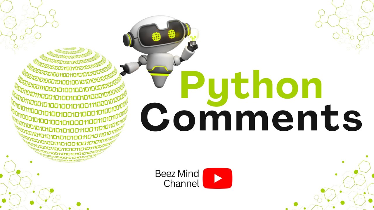 Python Comments : Visual Explainer