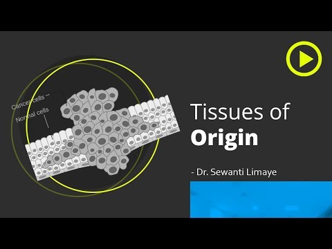 Aid in Determining the Primary Site of Metastatic Cancer