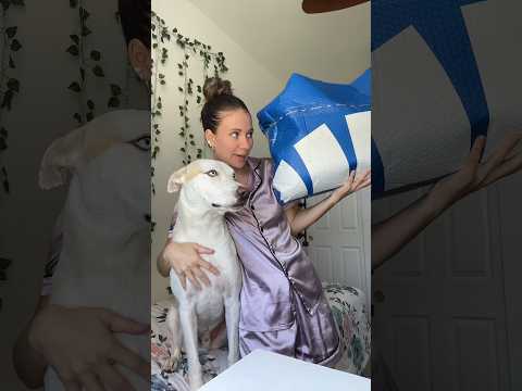 New clothes from Beneunder ๐๏ธ #dog #doglover #dogmom #pets #petowner #petlover #haul #clothinghaul