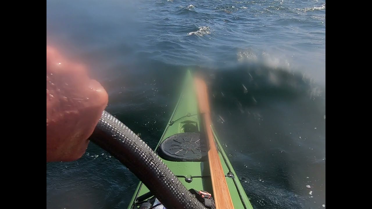 Maiden voyage Nigel Dennis Romany