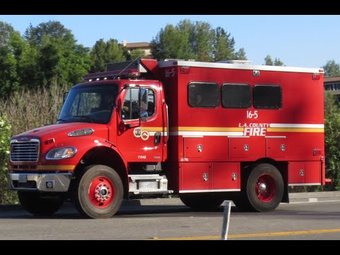 Los Angeles County Department of Health Services