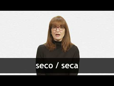 English Translation of “SECO” | Collins Spanish-English Dictionary