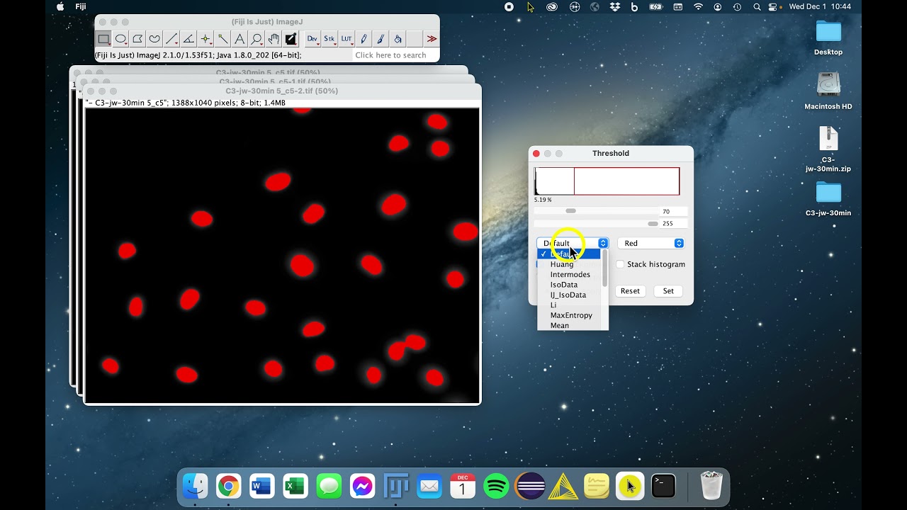 ImageJ/Fiji - Segmentation Part 3: Thresholding