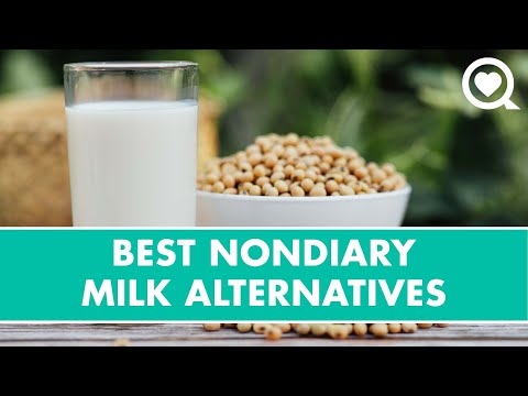 What Is The Best Non-Dairy Milk Alternative For Those Who Are Lactose Intolerant ?