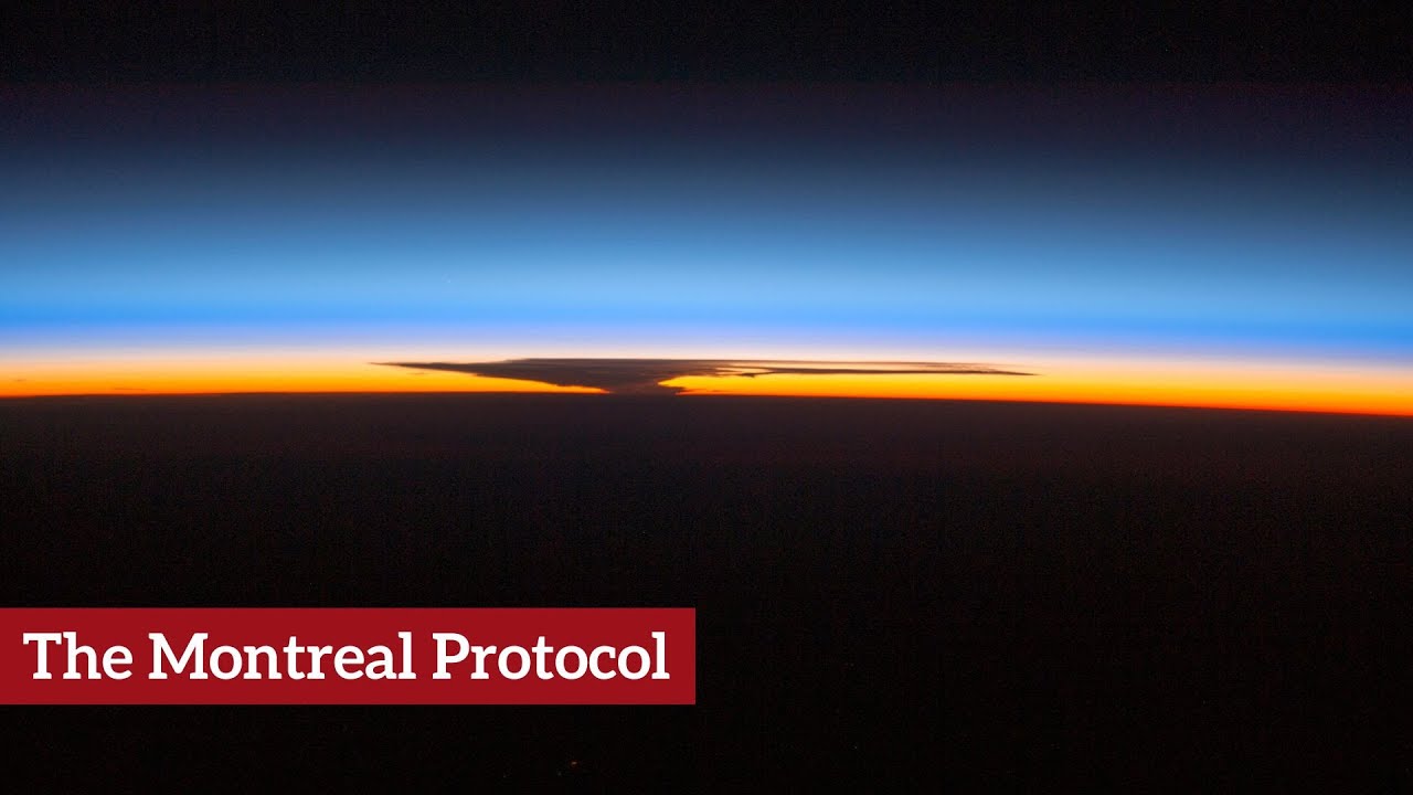 The Montreal Protocol