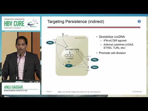 CCC – DNA inhibition | Anuj Gaggar, MD, PhD