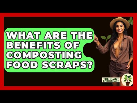 What Are The Benefits Of Composting Food Scraps? - The Plant Enthusiast