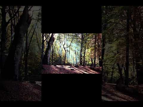 FAGGETA - SORIANO NEL CIMINO - FILM PHOTOGRAPHY