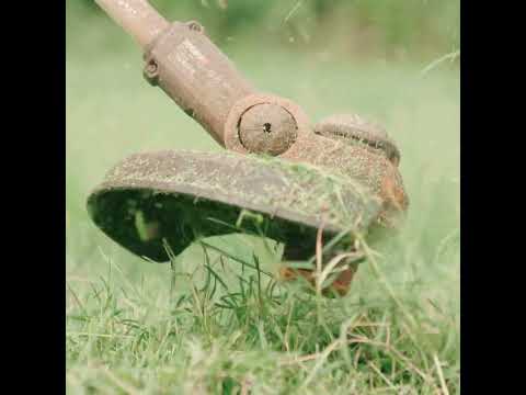 Rolla Missouri & Surrounding Area - Professional Lawn Care Service