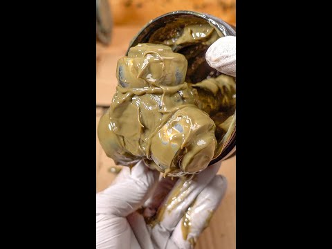 Replace CV Axle Boot in 60 Seconds!!