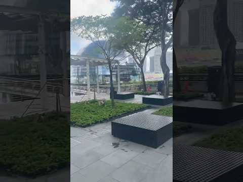 Apple Store on Water in Singapore!📱