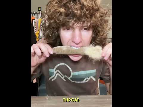 Cotton FOOD, Cattail!