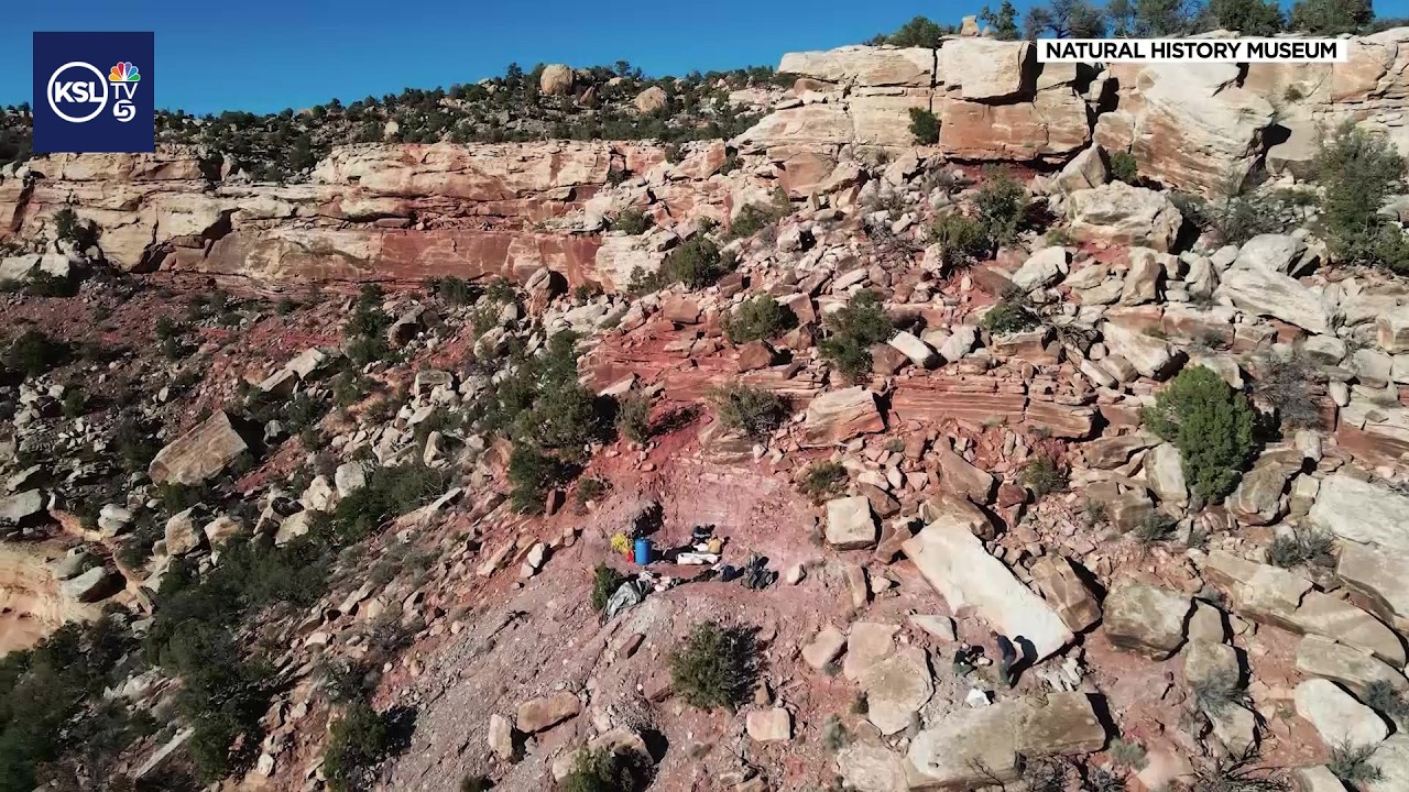 Sunday Edition: Dinosaur dig completed after 166 years