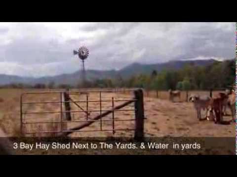 Lea Taylor Pastoral Cattle Property West of Gladstone