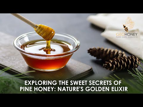 Discover the Secrets and Unique Taste of Pine Honey | Geohoney