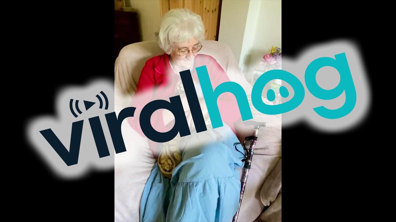 Even Snakes Snuggle || ViralHog