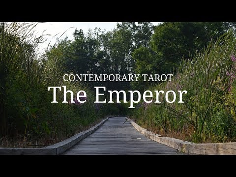 The Emperor in 5 Minutes