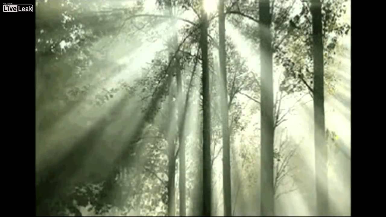 Trippy GIF Compilation 2013 The XX Intro