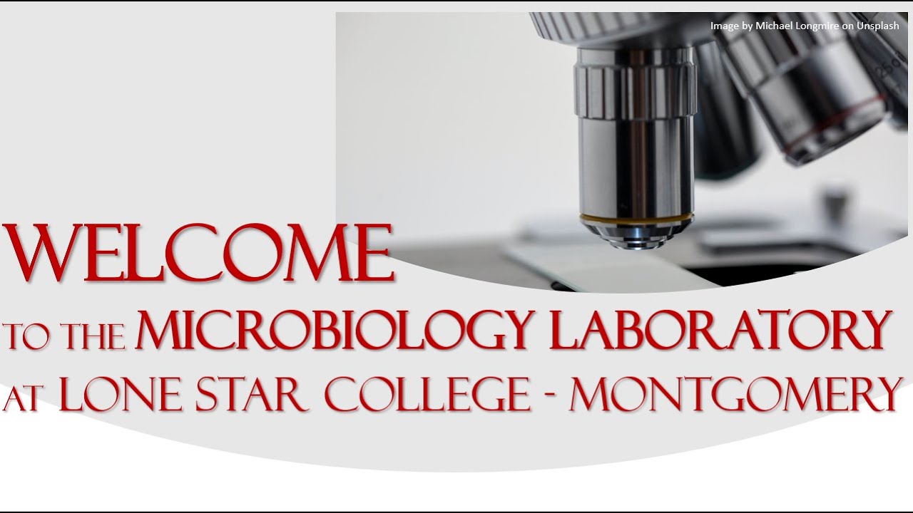 An Orientation to the Microbiology Lab