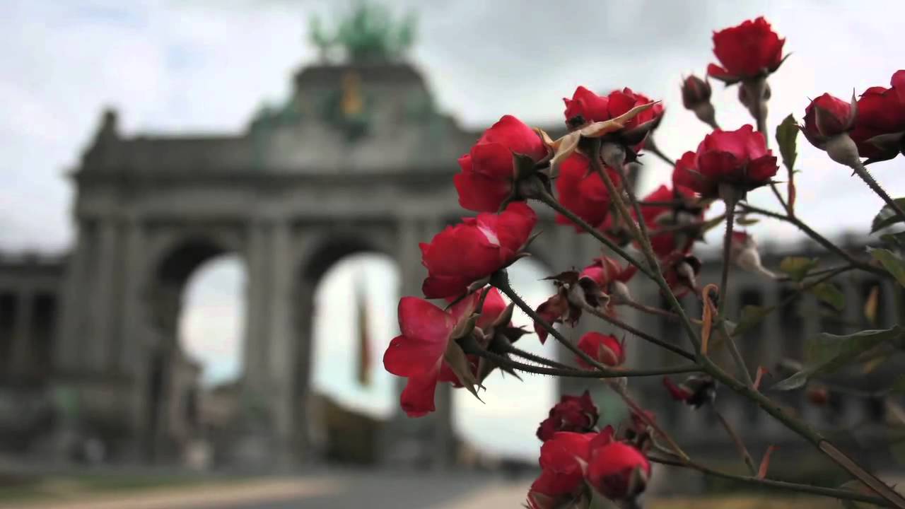 Study Abroad 101 - Introduction