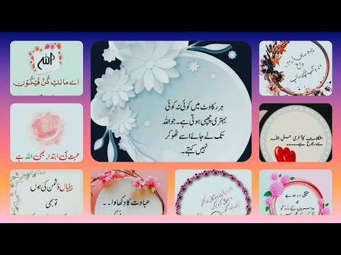 Urdu quotes😂😭😂😭😂😭 |aqwal e zareen new|gehri baten |deeni baatein|best Urdu shayari 🌛💐