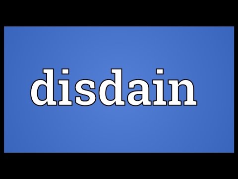 Disdain Meaning