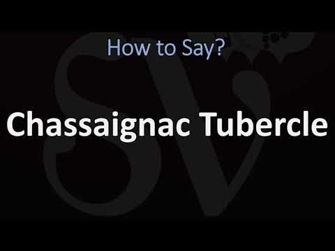 How to Pronounce Chassaignac Tubercle? (CORRECTLY)