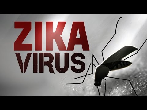 Zika virus WHO declares global public health emergency | Health | Before It's News
