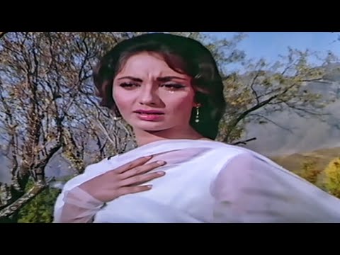 बेदर्दी बालमा तुझको HD - आरज़ू - साधना, राजेंद्र कुमार - लता मंगेशकर - Old Is Gold