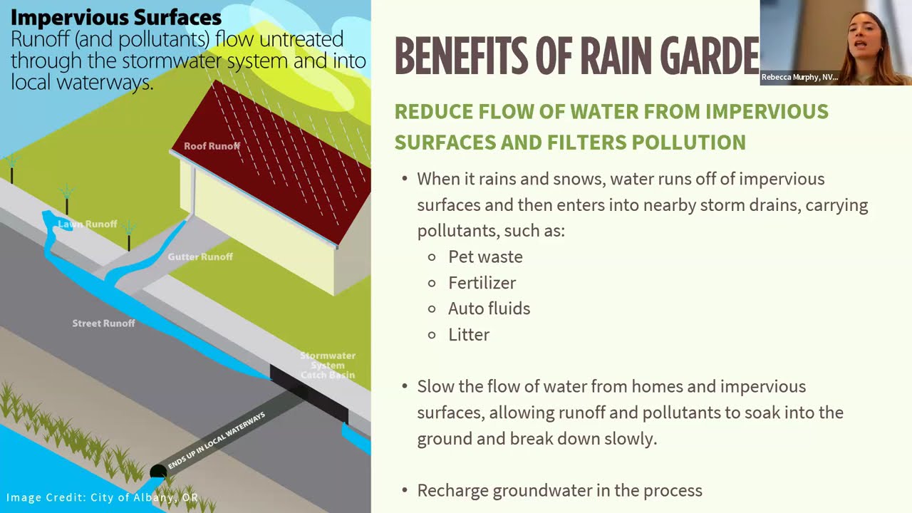 2026 Rain Garden Workshop