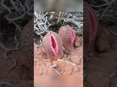 Rare Photos You've Never Seen Before [Part 65]