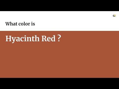 Hyacinth Red color #a75536 hex color - Orange color - Cool color a75536