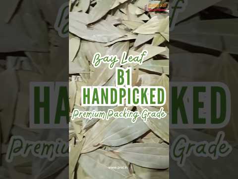 B1 BAY LEAVES | TAMAL PATRA | TEJ PATTA | HANDPICKED | MACHINE CLEAN | NO COMPOUND HOLES | PACKING