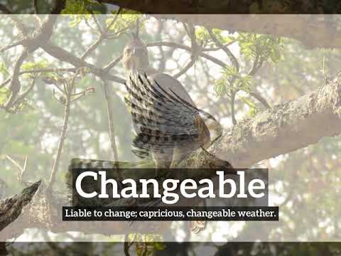 How to Say Changeable in English? | What is Changeable? | How Does Changeable Look?