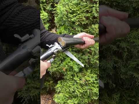Belgian double barrel shotgun made in 19th century