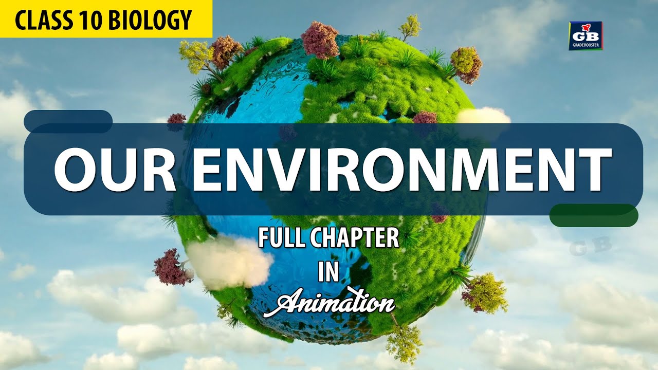 Understanding Our Environment: Ecosystems, Food Chains, and ...