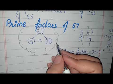Factor Tree of 57|Prime Factorization of 57
