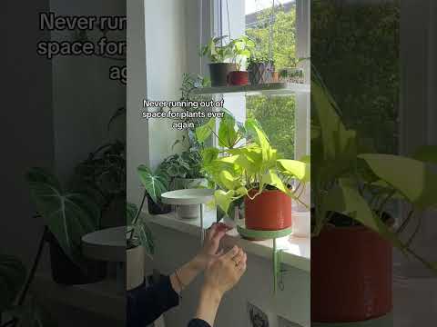 More space for more plants with windowsill clamp trays | seedor.store