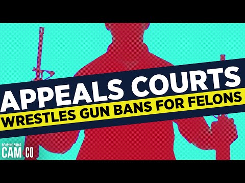 Felons Who Have Served Their Time Should Have Gun Rights Restored