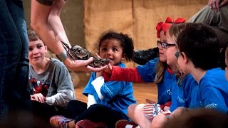 Normal Park Museum Magnet School | Edutopia